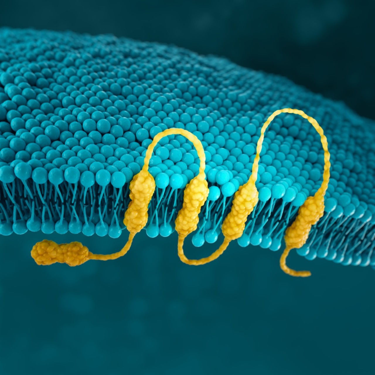 胃癌新型生物标志物 | Astellas Pharma Ltd