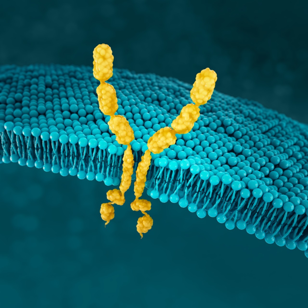 胃癌新型生物标志物 | Astellas Pharma Ltd