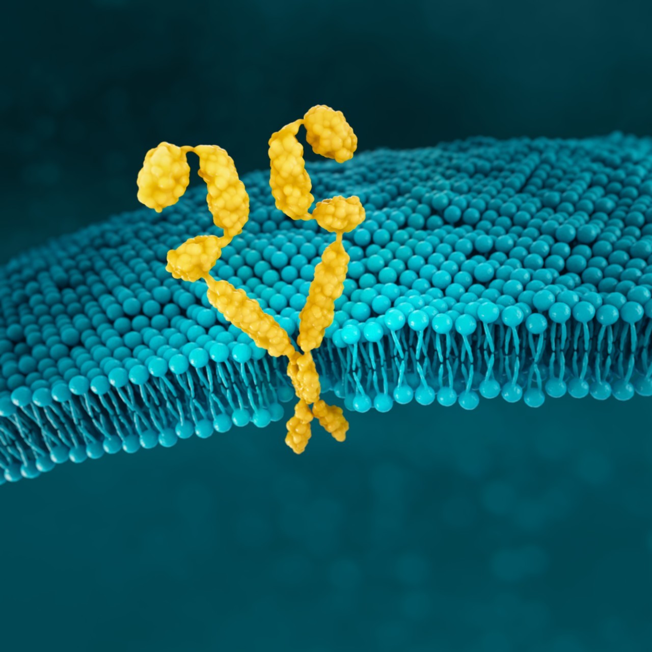 胃癌新型生物标志物 | Astellas Pharma Ltd