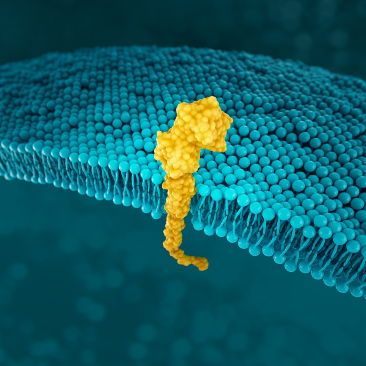 胃癌新型生物标志物 | Astellas Pharma Ltd